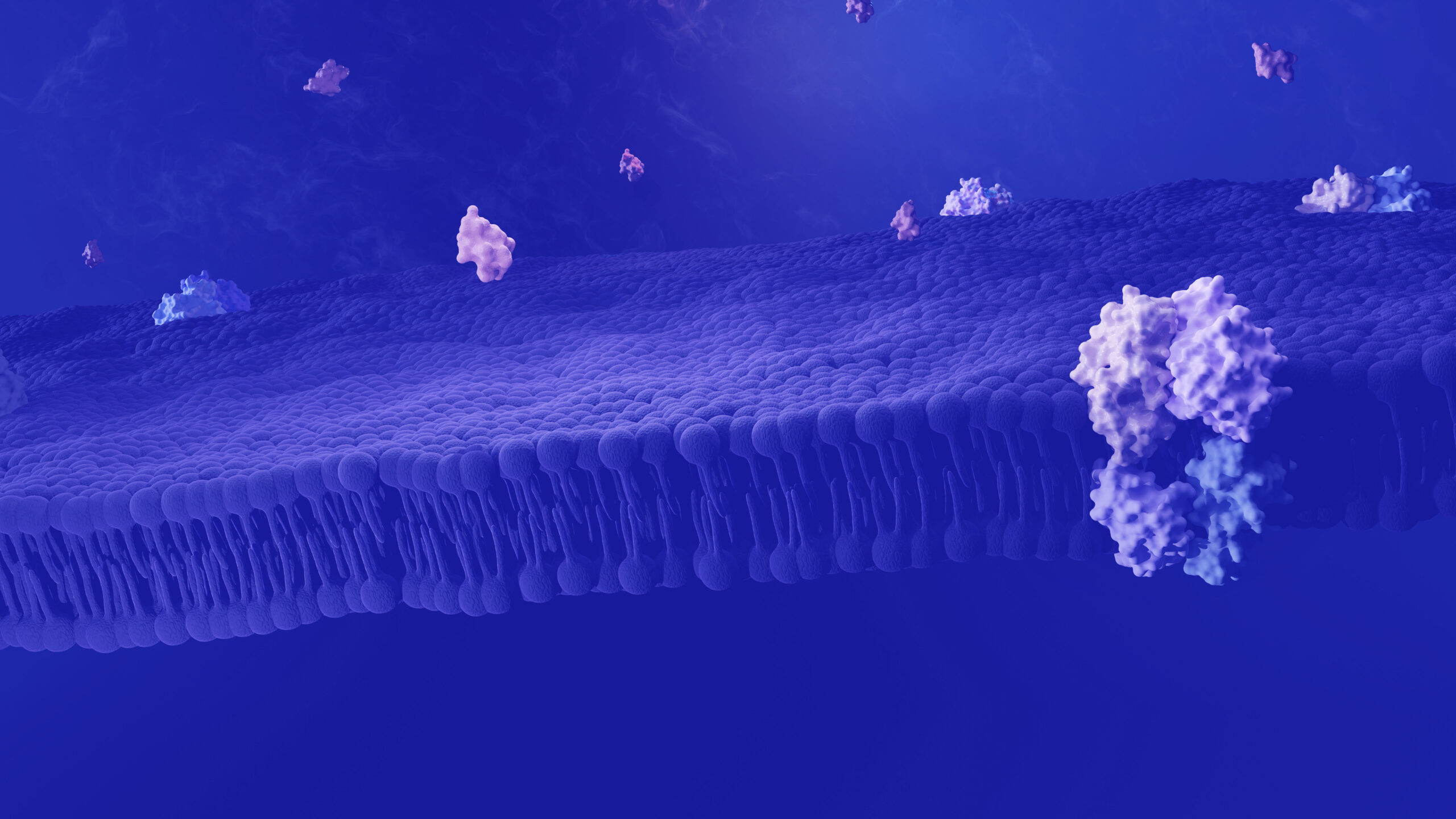 HILIC Columns for Polar Separations | PolyLC