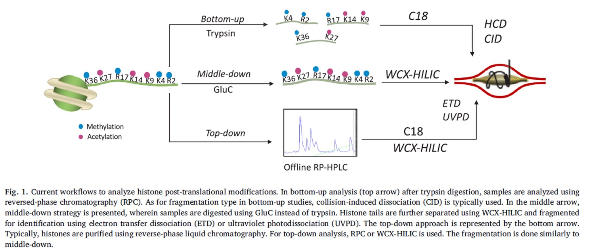 Proteomics Applications | Chromatography Solutions | PolyLC